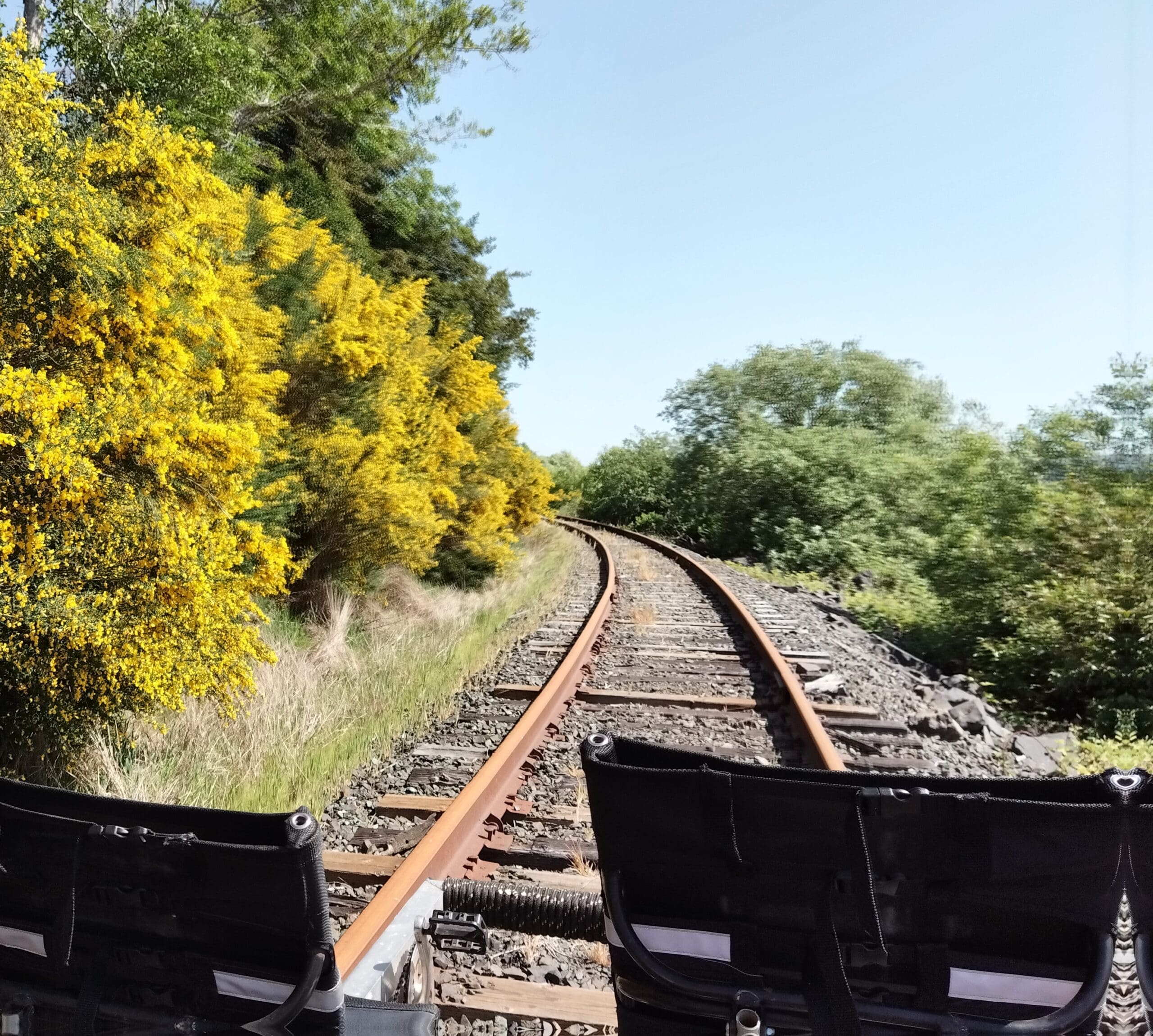 About Joy Rails » Book an Excursion Today!