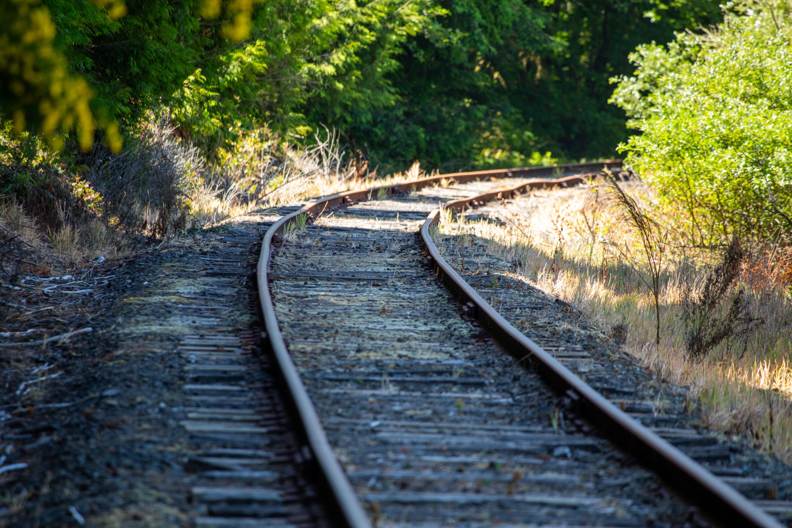 Joy Rails | Chehalis Washington | Things to Do